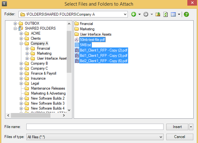 Securely Send Large Files Via Email Thru Inc